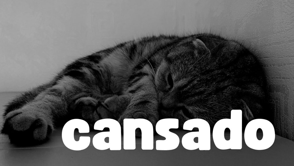Palabras en español [3] | HispaValpo